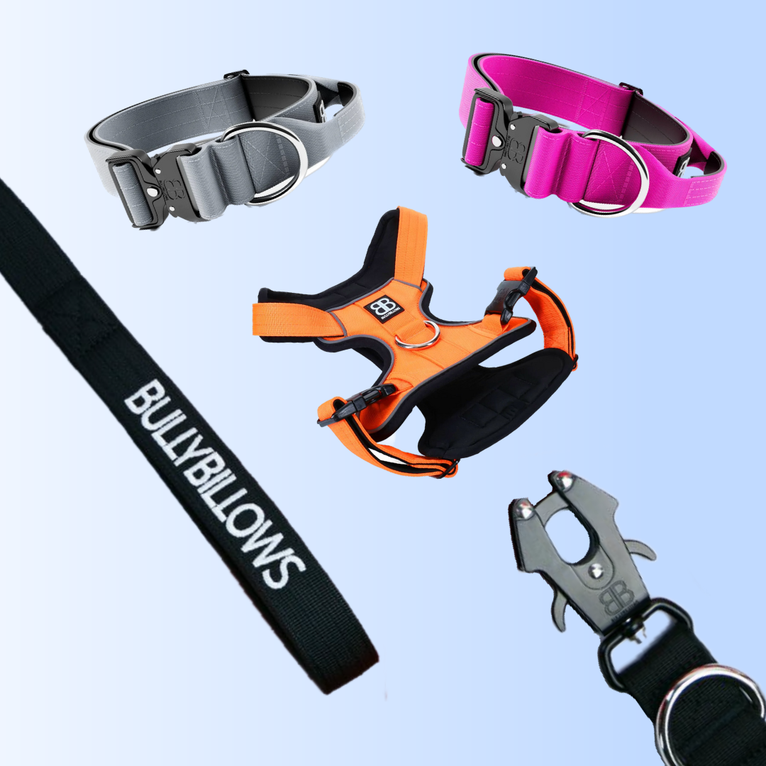 BULLYBILLOWS – Pure Raw Feeds